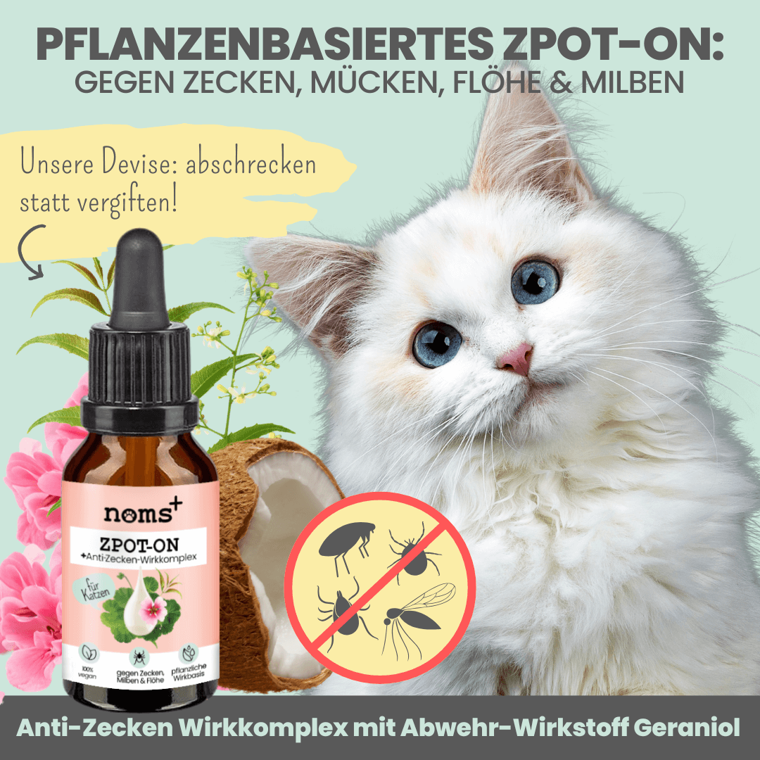 Pflanzenbasiertes Abwehr-Duo für Katzen – nomsplus